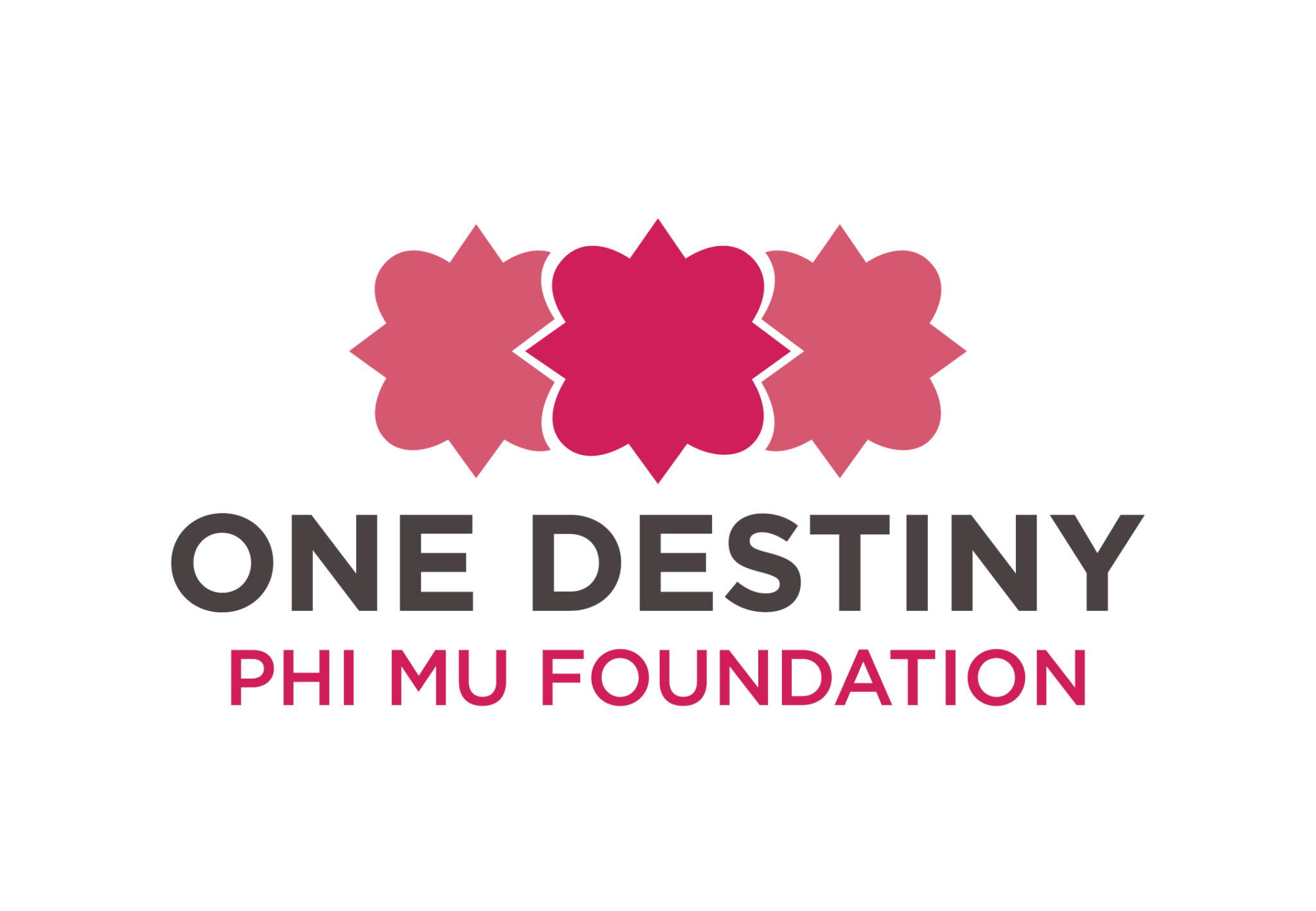 One Destiny Campaign Update: June 2021 - Phi Mu